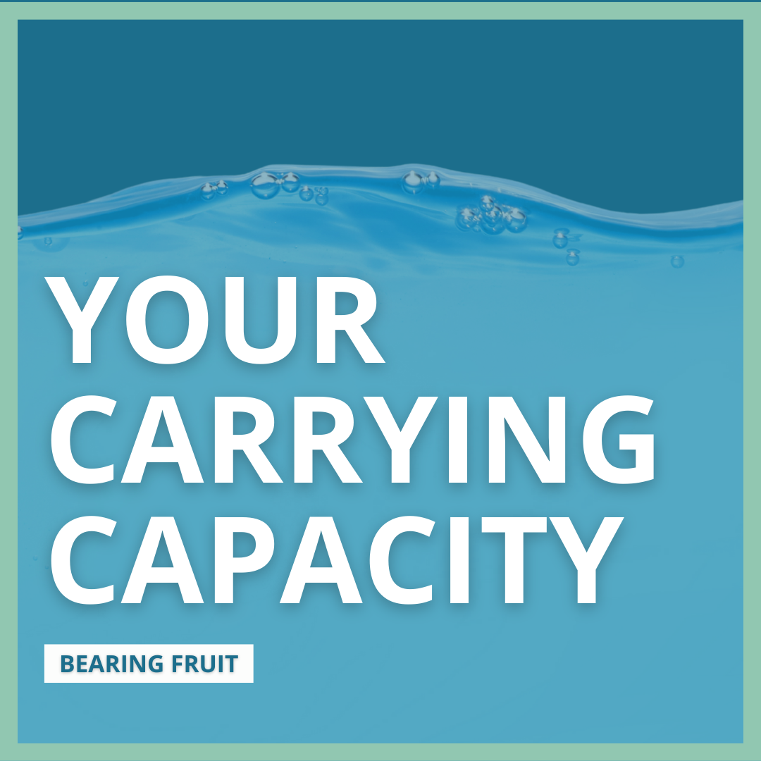 Your Carrying Capacity - The Evergreen Empire